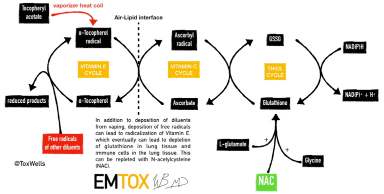 Theoretical Mechanism for Vaping Associated Lung Injury